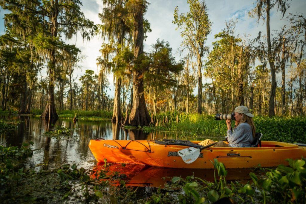 Louisiana Swamp Photography Tour | $250 Per Person | NOLA Adventures