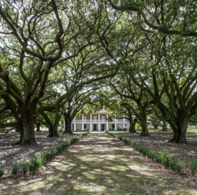 Whitney Plantation Tour | $68 Per Person | NOLA Adventures